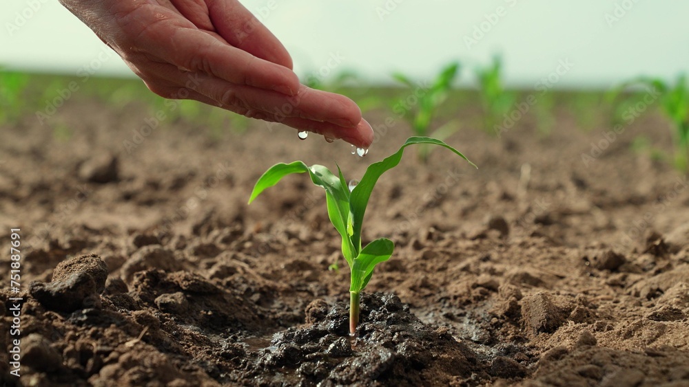 Growth time plants. Water flows down arm, drips into ground, waters ...
