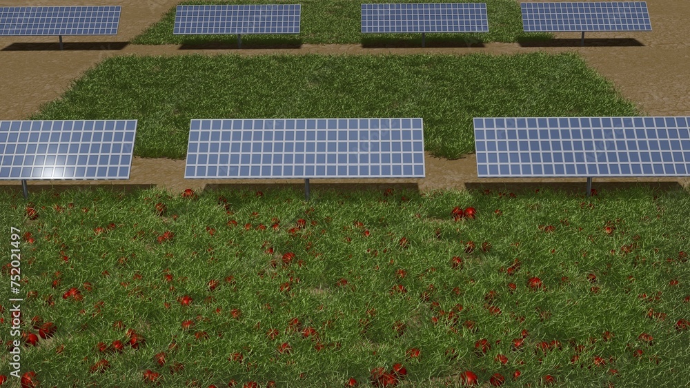 Agrivoltaics - solar tech with agriculture. Solar panels technology on ...