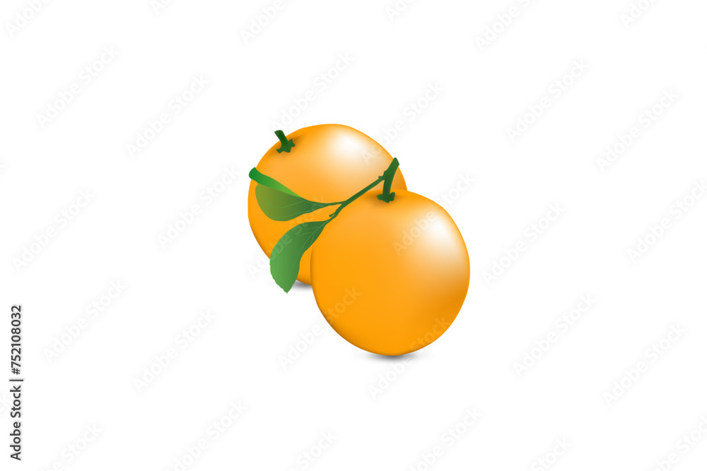 orange vector , double oranges vector, realistic vector orange, orange ...