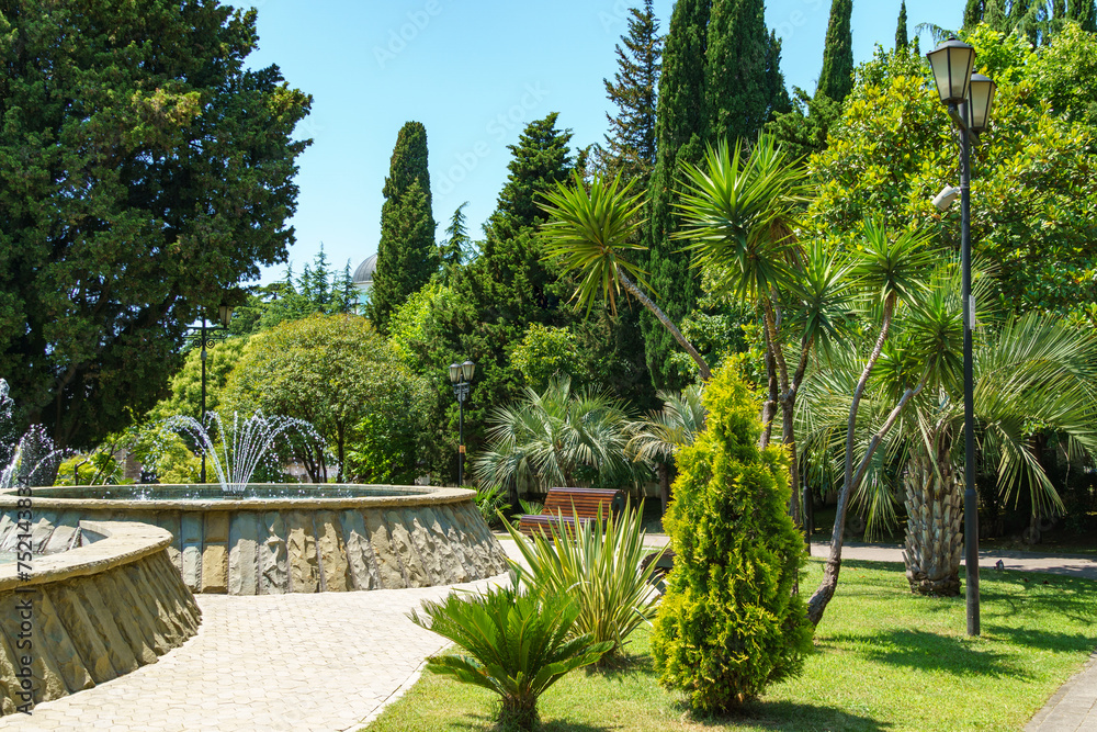 Lush topiary plants, palms and exotic trees are characteristic of streets and parks of Sochi and ...