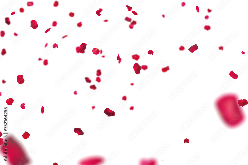 Pink Rose Petals Overlays for Photography . Petals Falling from the Sky ...