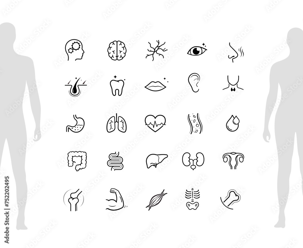 Vitality icon set for human-improving products. The outline icons are ...