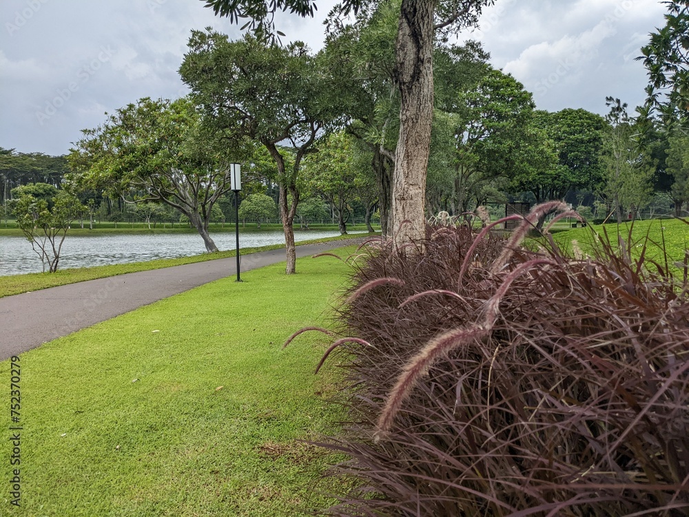 Mini jogging park on the Semarang Central Java with lake, cloudy vibes ...