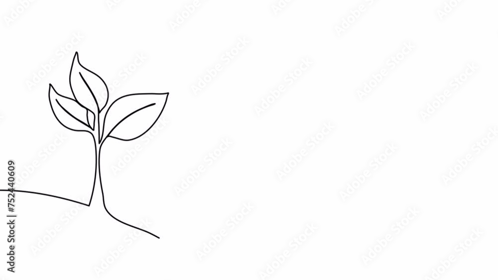 Sprout, one line drawing animation. Video clip with alpha channel ...
