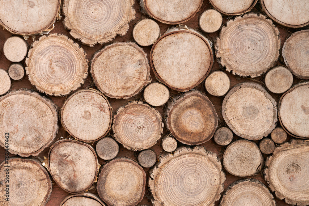 Decorative surface made of cut tree trunks of different species and ...