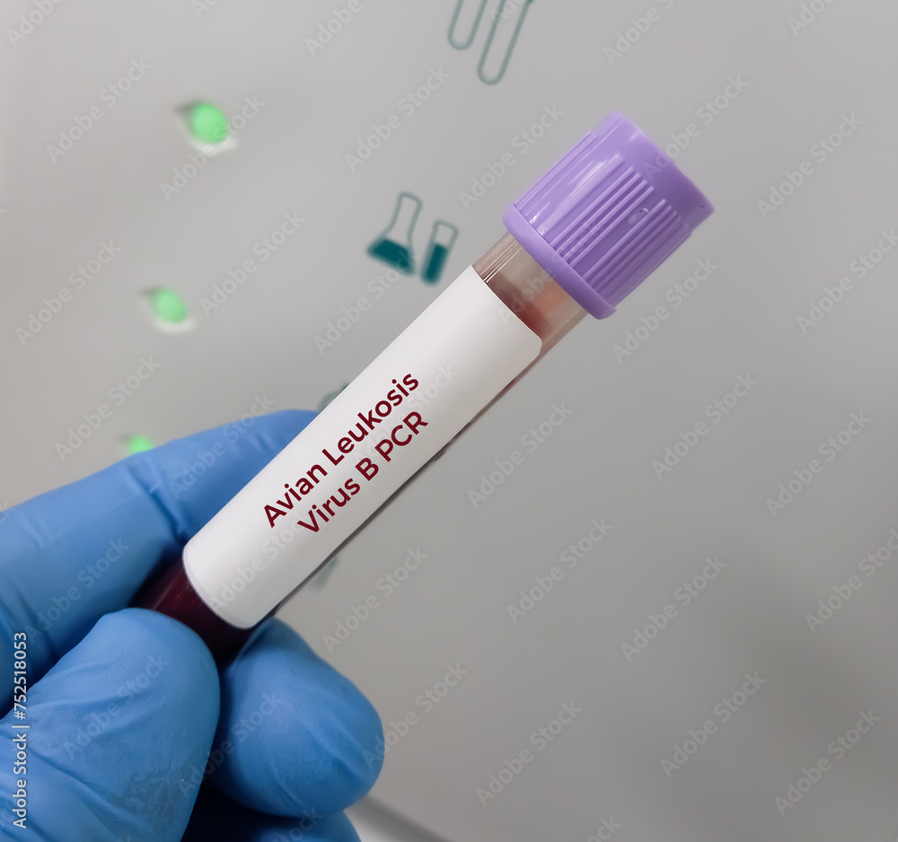 Blood sample for ALV (Avian Leukosis Virus) PCR test, RIF, COFAL, ALV ...
