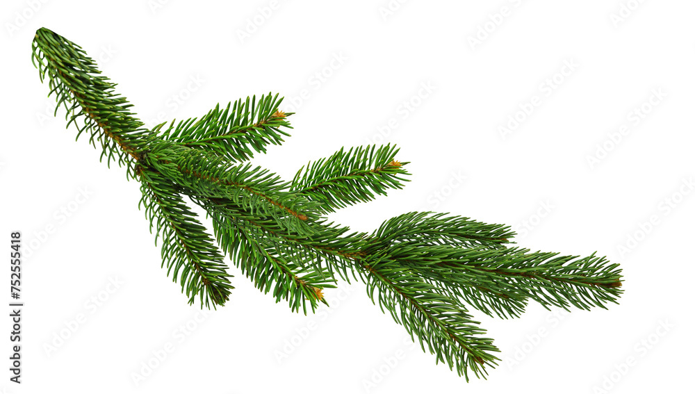 Christmas tree branch isolated on transparent, png for a Christmas ...