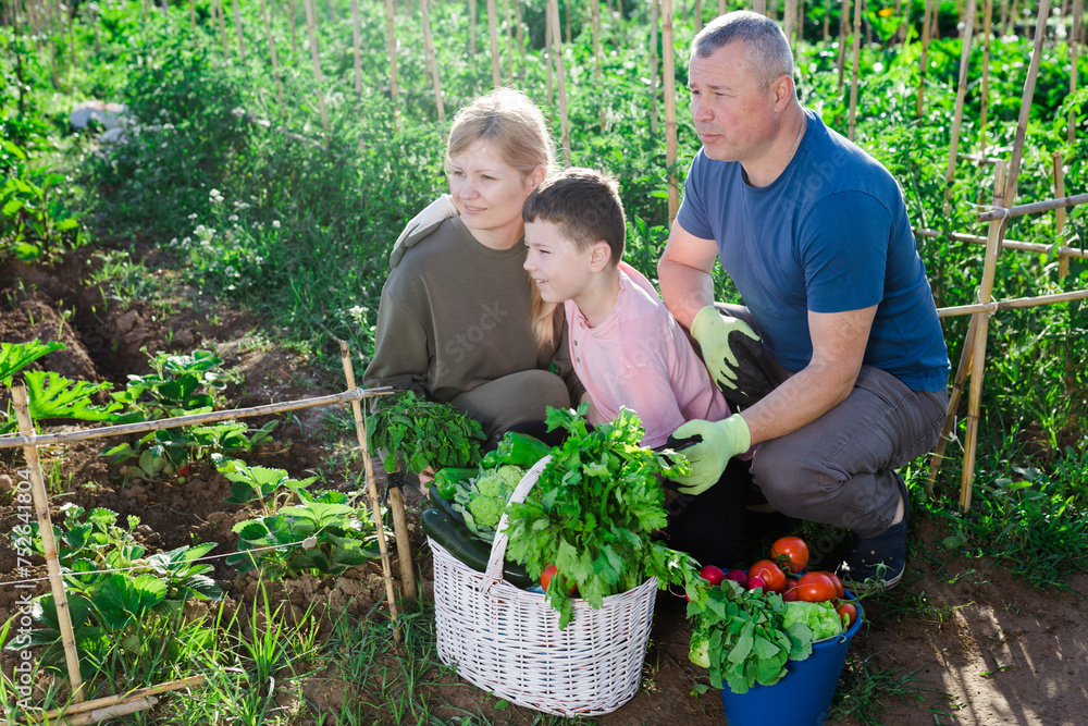 Parental couple with teenage daughter and preteen son friendly talking ...