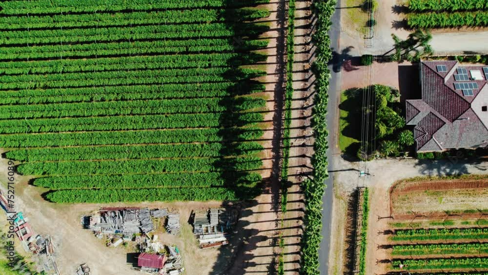An aerial perspective of a rural farm featuring crops, barns, and a ...