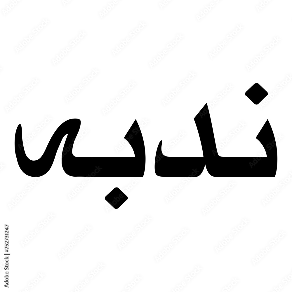 Nudbah Muslim Girls Name Naskh Font Arabic Calligraphy Stock Vector ...