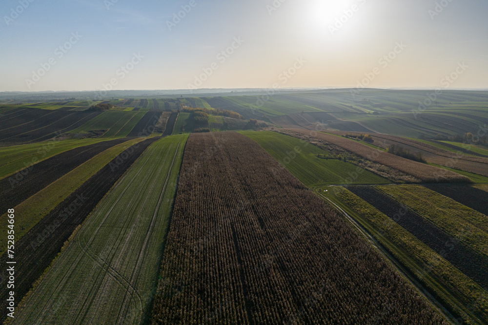 Suloszowa village in Krakow County. Aerial drone view of growing grain ...