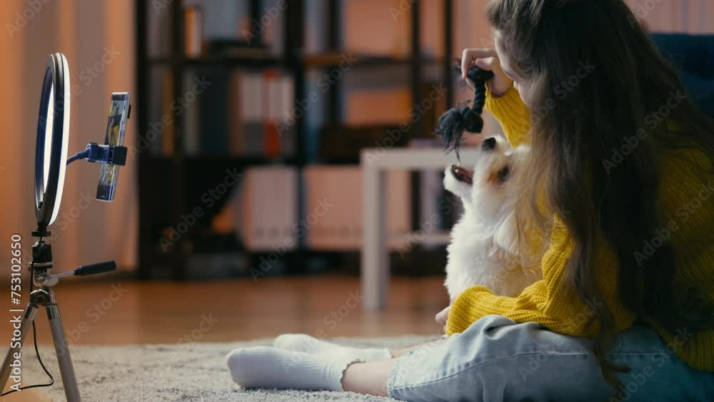 Vidéo Stock Teen girl filming a video with a pet, keeping a social ...