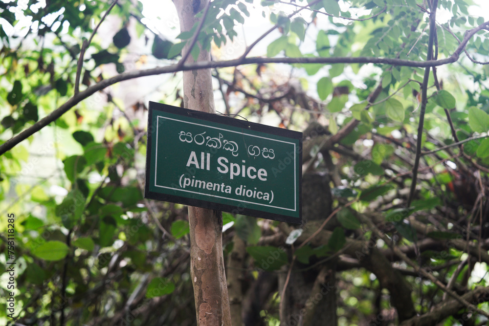 All Spice Garden labels. Gardening signs and symbols on the farm for ...
