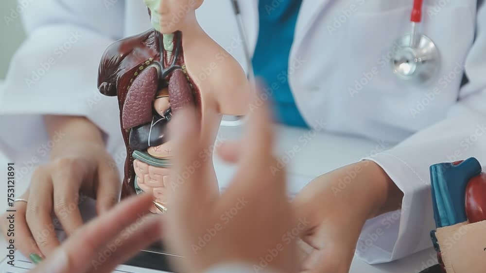 Neurologist hand pointing brain anatomy human model and brain disease ...