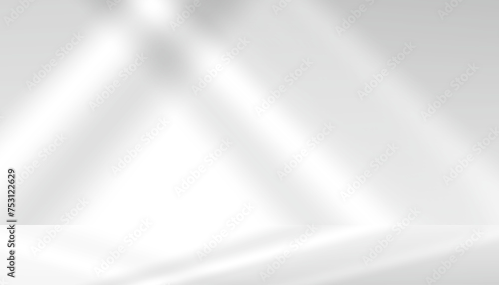 Shadow overlay effect.Transparent soft light,shadow from window.Vector ...