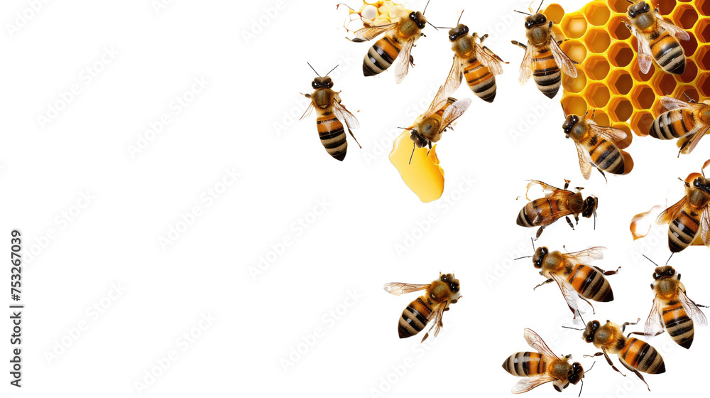 flying bees with hive on transparent background.png Stock Photo | Adobe ...