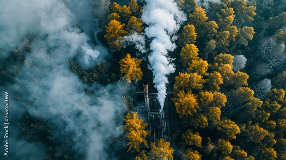 crucial role forests play in mitigating climate change.the journey of a ...