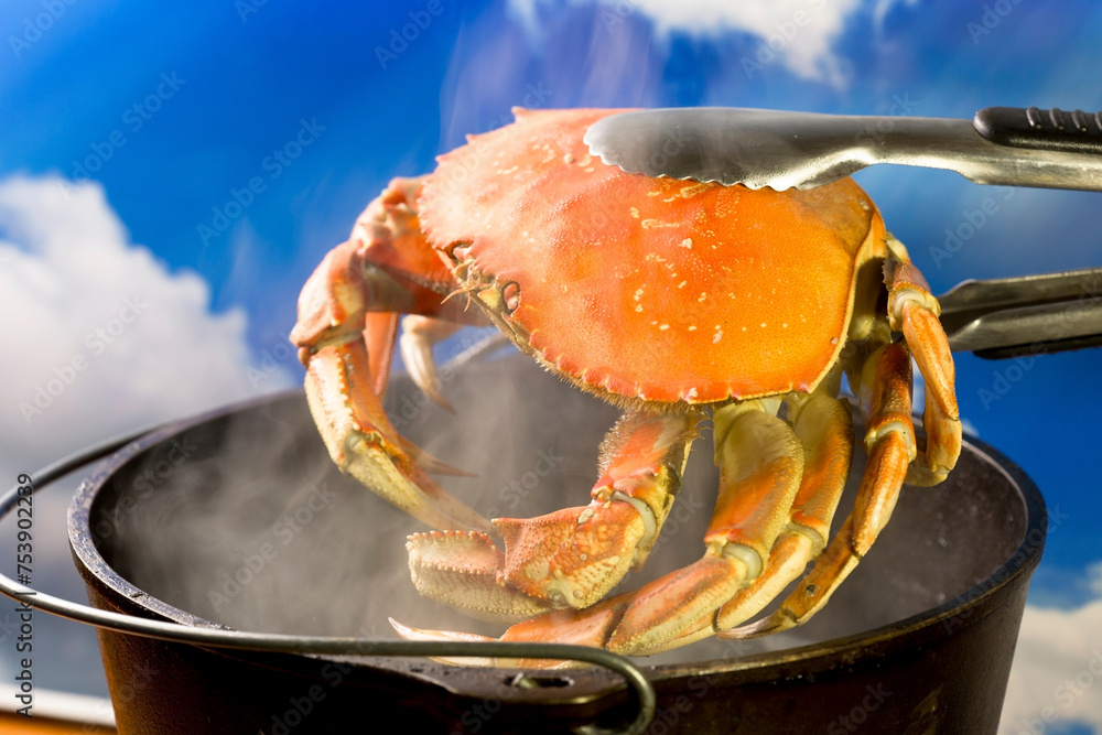 Culinary Delight: 4K Ultra HD Image of Cooking Dungeness Crab in Cast ...