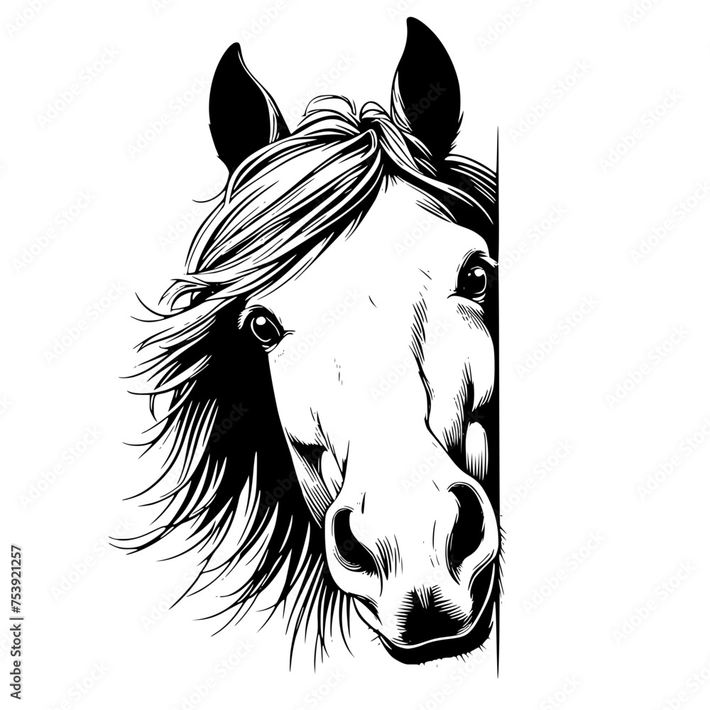 Vecteur Stock Peeking Horse, Funny Peeking Horse, Horse Head, Horse ...