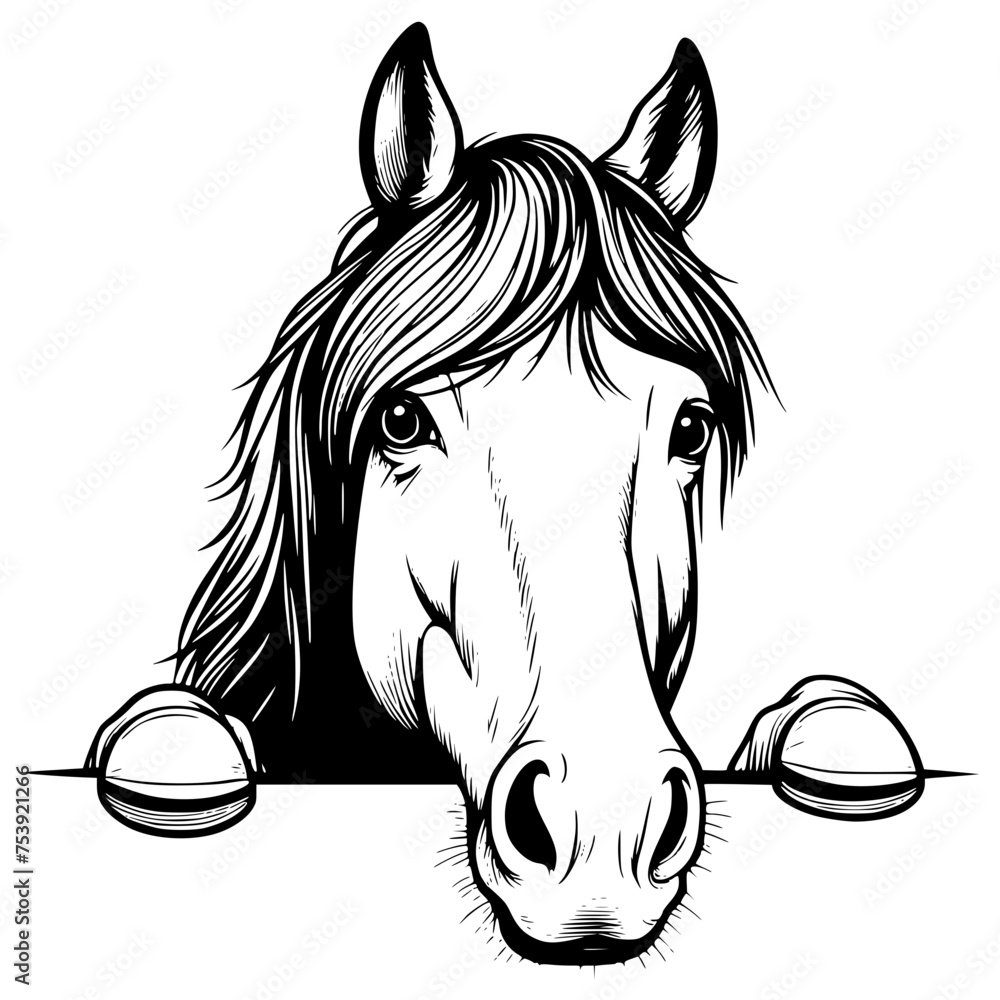 Peeking Horse, Funny Peeking Horse, Horse Head, Horse Face, Peeking ...