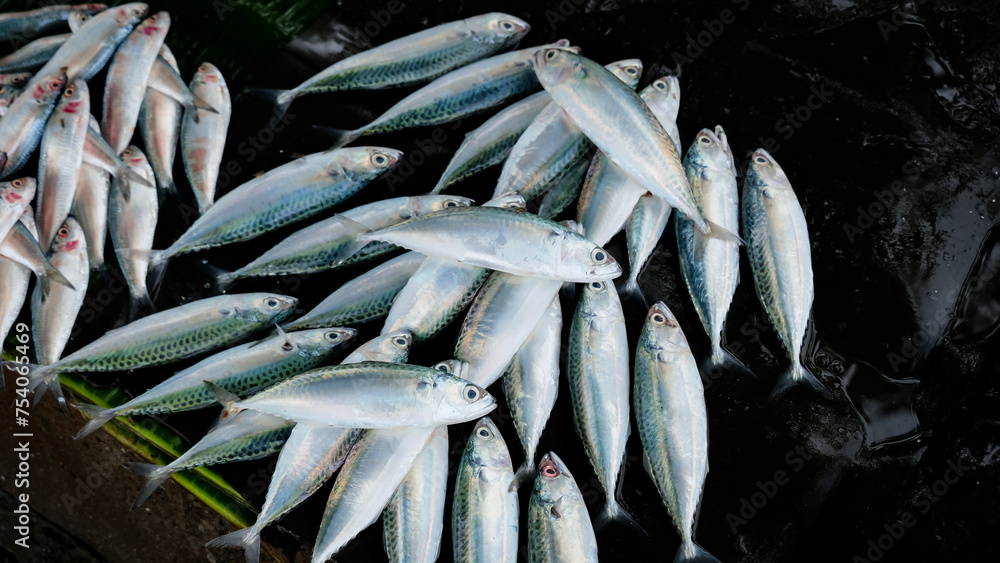 Neatly organised fresh silver fish on banana leaves being sold by ...
