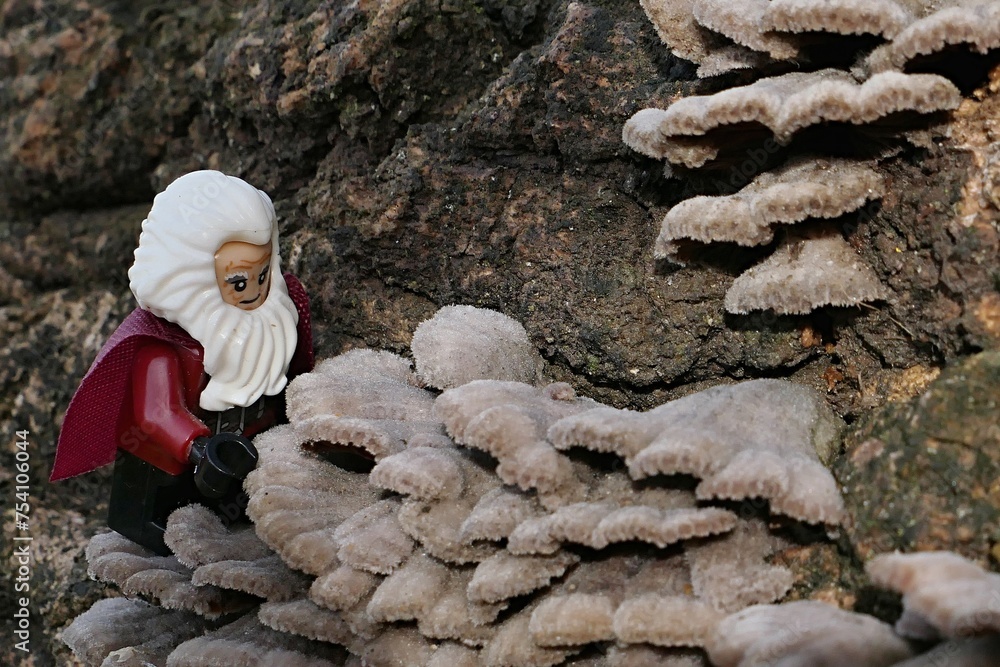 LEGO Hobit dwarf figure of white bearded Balin climbing on caps of ...