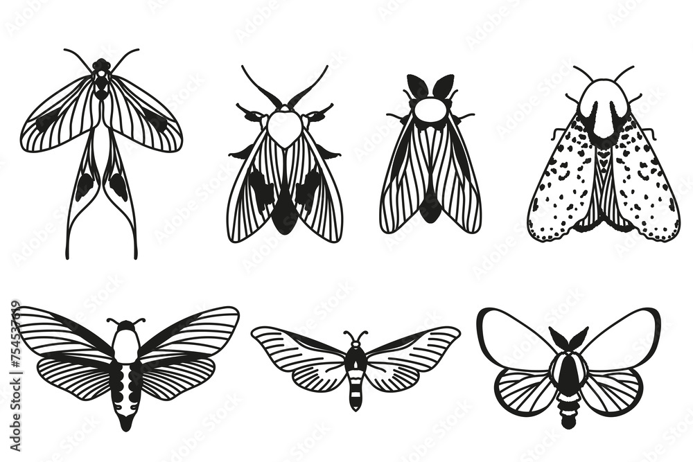 Vector moth, mystic symbol and signs. Witchcraft, occult, alchemical ...