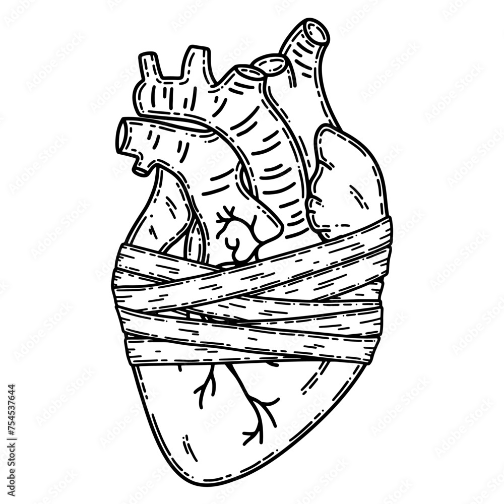 Poster Realistic human heart line art vector – Wall Art | UkPosters