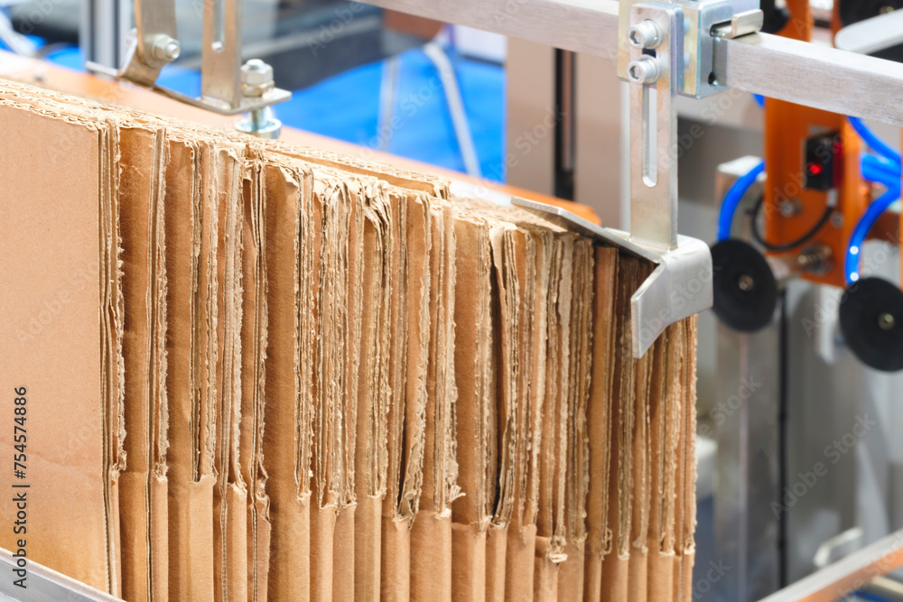 Elements of corton boxes are collected in stack. Conveyor line for the ...