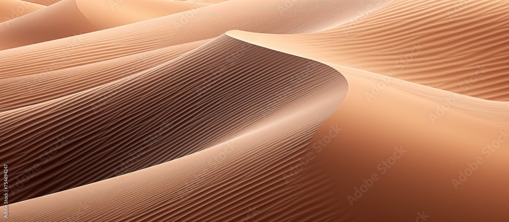 A collection of sand dunes, varying in size and shape, dominate the ...