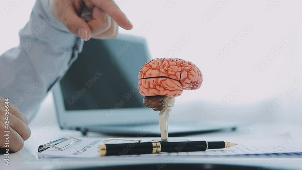 Neurologist hand pointing brain anatomy human model and brain disease ...