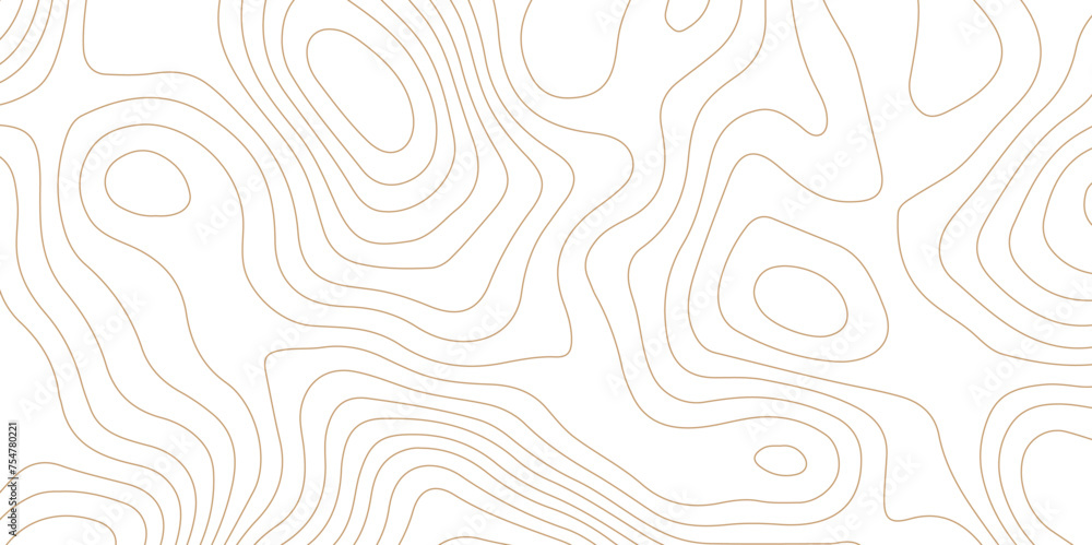 Topographic map background geographic line map pattern .panorama view ...