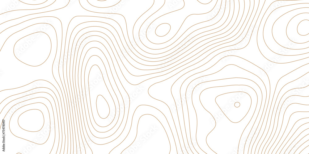 Topographic map background geographic line map pattern .panorama view ...