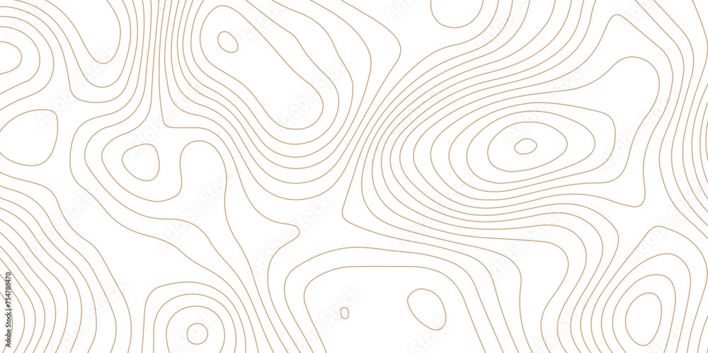 Topographic map background geographic line map pattern .panorama view ...