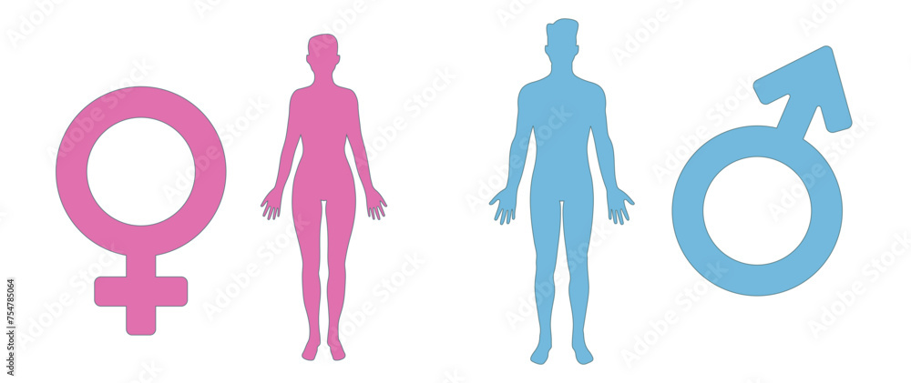 Male and female gender symbol vector illustration. Gender symbols are ...