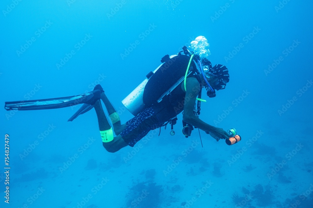 Fotografia do Stock: This photo is about scuba diving in the Maldives ...