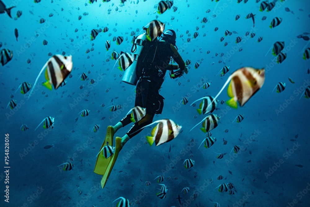 This photo is about scuba diving in the Maldives Islands. Starting from ...