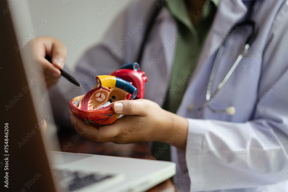 Female cardiologist doctor explaining heart anatomy model and ...