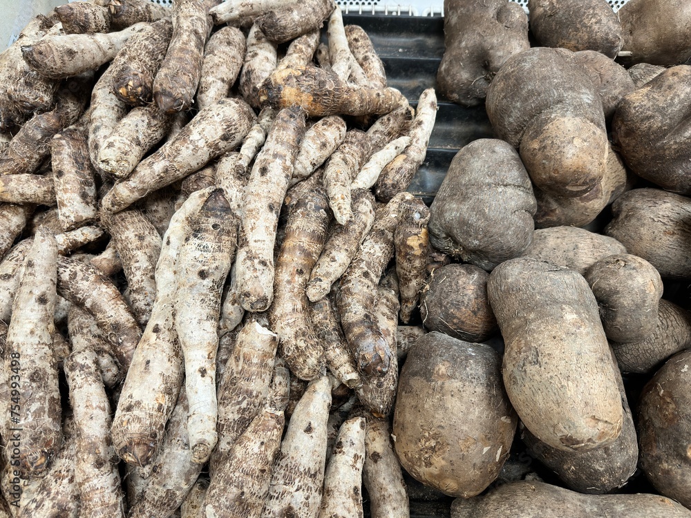 Cassava root, also known as Yuca root (Manihot esculenta) Stock Photo ...