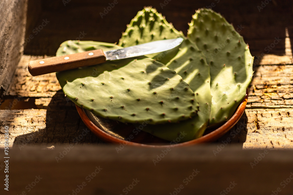 Cosecha de nopales. Nopales frescos recien cortados, sobre plato de ...