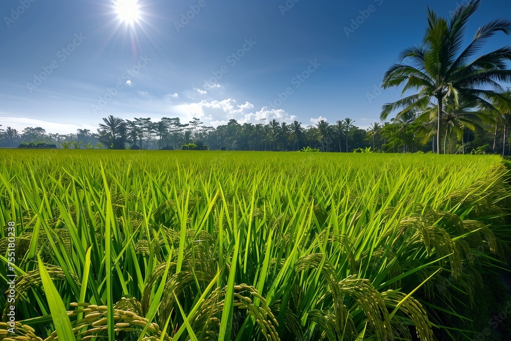 Sustainable Living and Farming on Earth Day, Illustrated by a Thriving ...