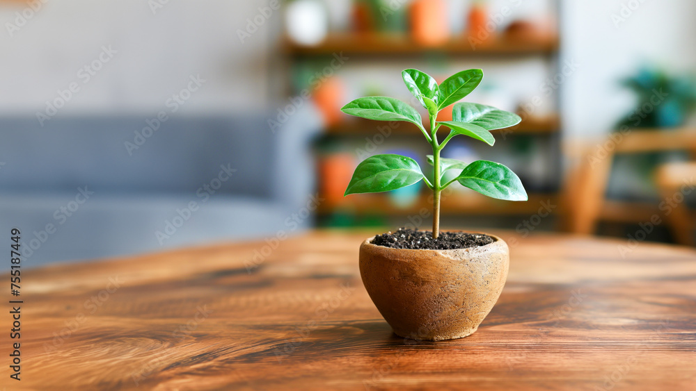 Pequena plantinha mostrando suas raízes crescendo na terra. Uso ...