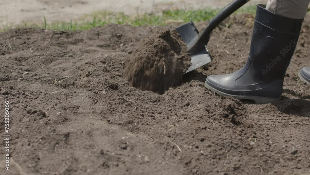 Vidéo Stock Legs in rubber boots person digs soil with shovel in garden ...