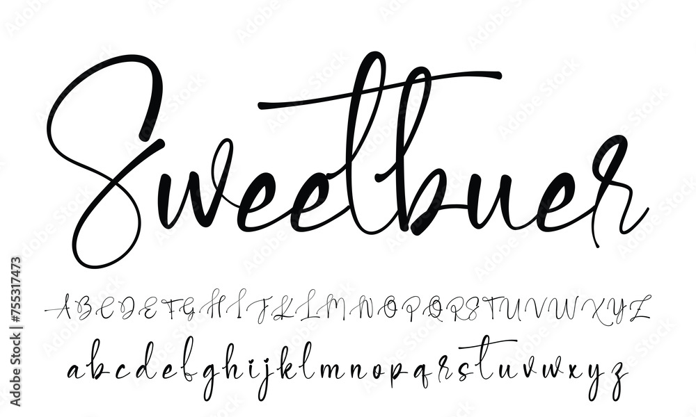 Best Alphabet Beautiful Signature Brush handwritten type font Stock ...