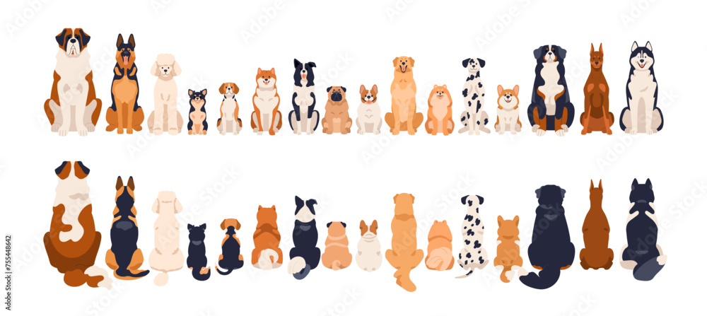 Dogs border, front and back rear views, tails. Canine animal breeds in ...