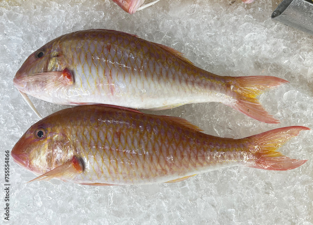 fresh raw cold seafood red jin li whole fish ikan on white ice ...