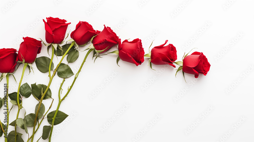 Fond blanc avec un contour de roses rouges fraîches. Nature, ambiance ...
