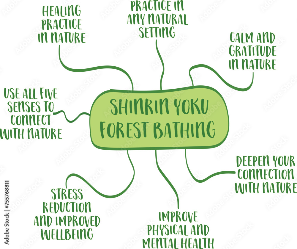 Japanese concept of shinrin yoku, forest bathing, the practice of ...