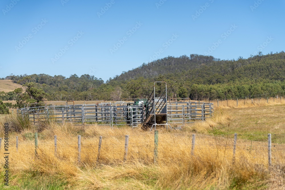 dry hot farming landscape in australia. drought on a farm with bare ...