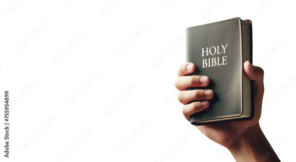 Hand holding the holy bible. Isolated transparent PNG background ...